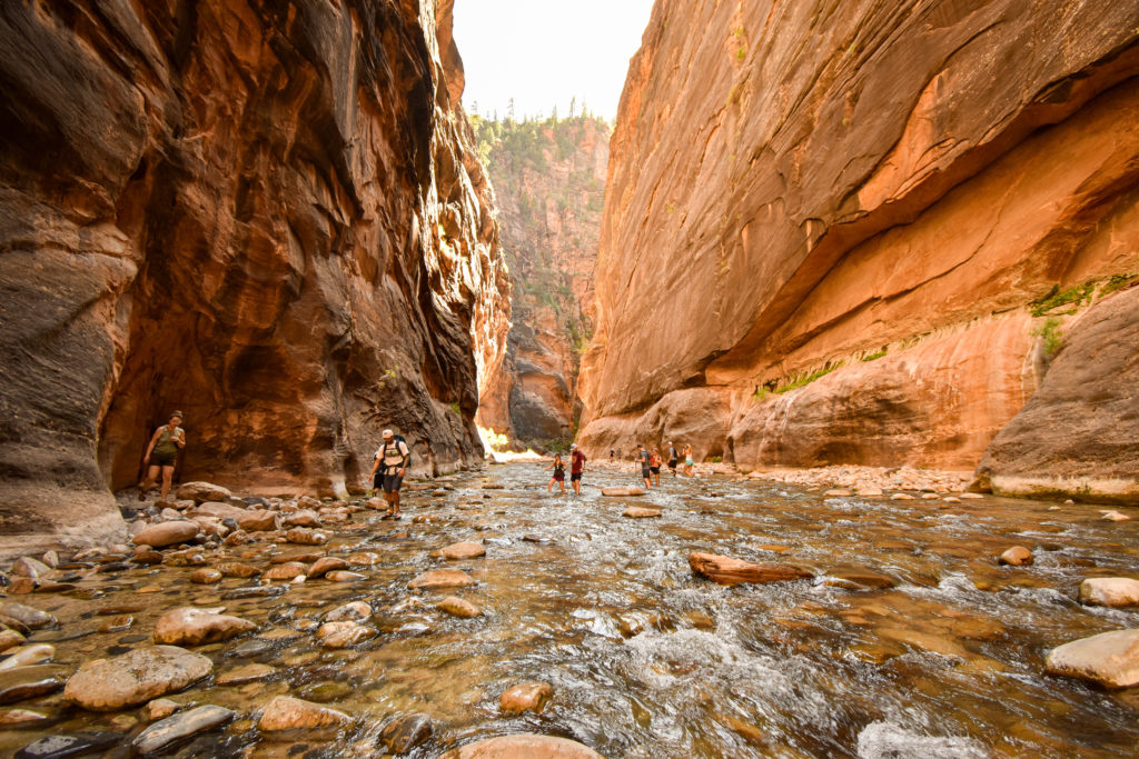絶景に囲まれる！新体験ハイキング【ザイオン国立公園 in アメリカ】② | River Tours